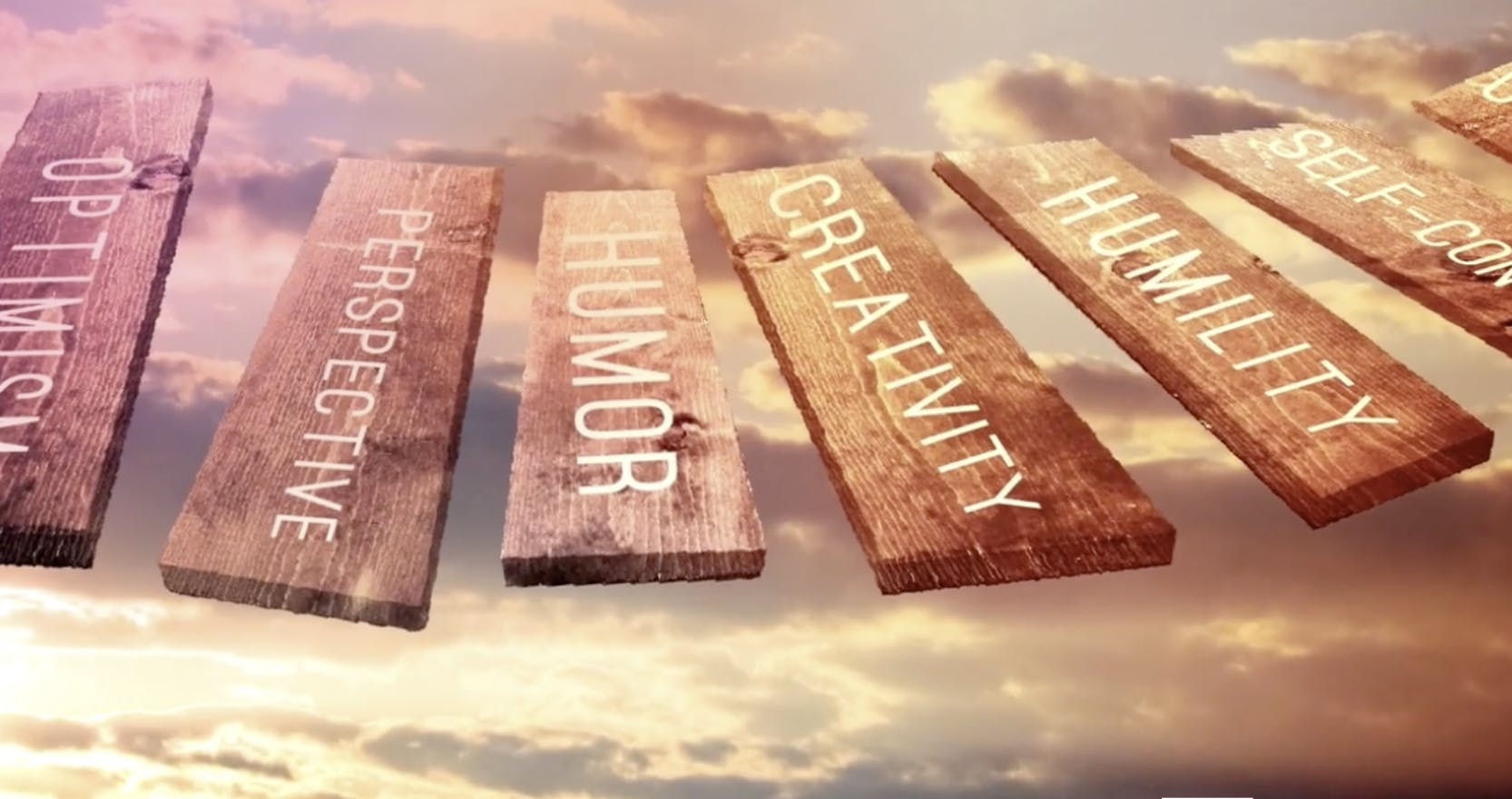 30,000 Days | Shuffle Collective