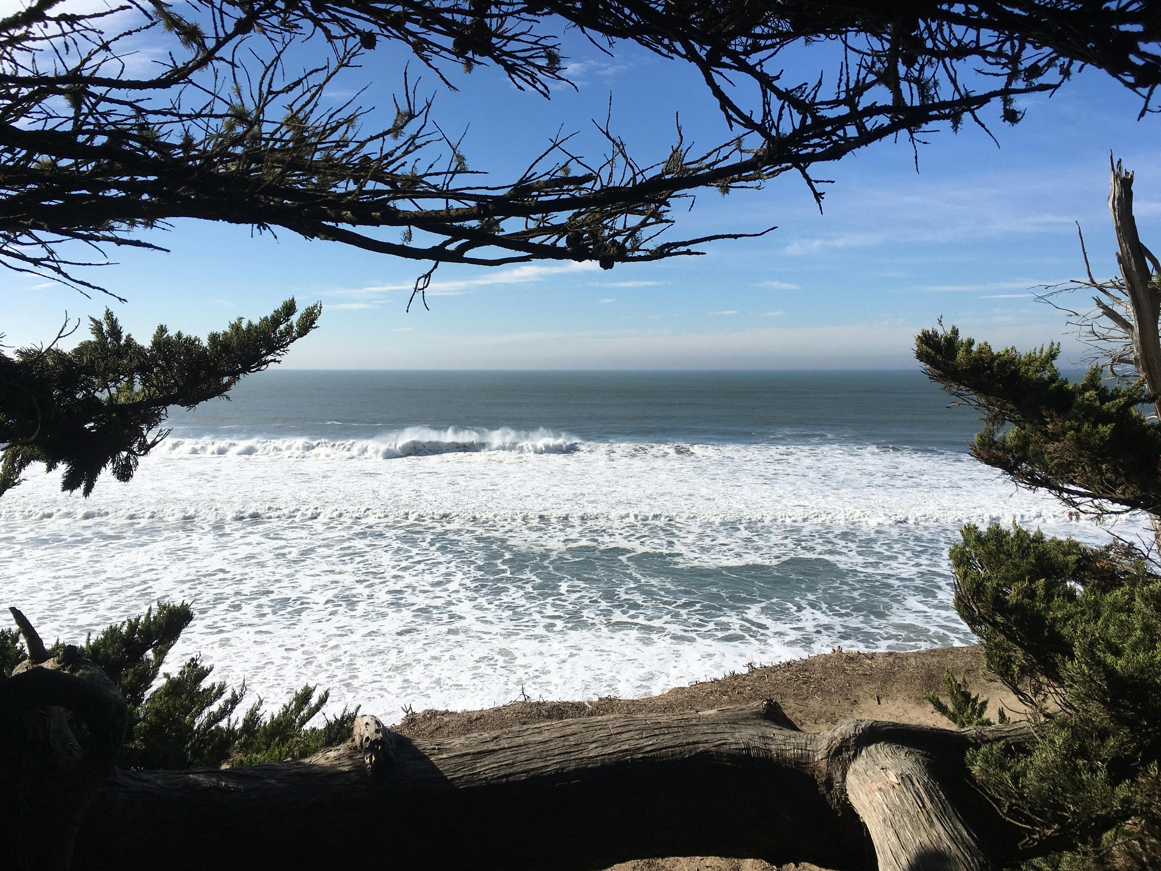 Petra Rose Malloy | Shuffle Collective